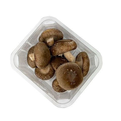 Organic Shiitake Mushroom Punnet – Unique Wholefood